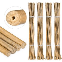 Relaxdays 100 x Bambusstäbe 105cm, aus natürlichem Bambus, Bambusstangen als Rankhilfe oder Deko, Bambusrohre zum Basteln, natur