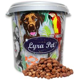 LYRA PET - 10 kg ® Erdnusskerne mit Haut hk Südamerika in 30 l Tonne