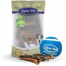 LYRA PET - 5 kg ® Rinderpansen 12 - 15 cm + Tennis Ball