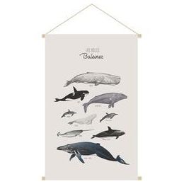 Miliboo Kakemono für Kinder Wale L40 x B60 cm OCEAN