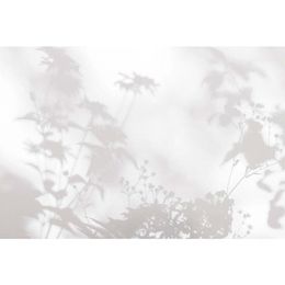 Pflanzen Tapete in Weiß Beige | Landhaus Fototapete mit Blumen ideal für Küche und Esszimmer | Florale Vlies Fototapete mit Licht und Schatten Design