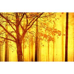 Bricoflor - Gold gelbe Fototapete mit Wald Motiv | Baum Fototapete aus Vlies für Esszimmer und Diele | Flur Tapete mit Bäumen und Herbstlaub - 270 x