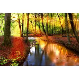 Bricoflor - ForestStream xxl 5 fototapete wald natur landschaft baum 267 x 400 cm (4 Teile) Online Fototapeten bestellen - 267 x 400 cm (4 Teile)