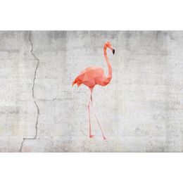 Bricoflor - FlamingoConcrt xxl 5 fototapete tiere betonoptik flamingo 267 x 400 cm (4 Teile) Online Fototapeten bestellen - 267 x 400 cm (4 Teile)