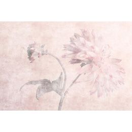 Vintage Blumentapete rosa | Vlies Fototapete floral in Pastellfarben ideal für Schlafzimmer | Blumen Bildtapete romantisch - 270 x 400 cm (4 Teile)