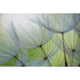 Florale Fototapete grün weiß | Vlies Tapete mit Pusteblume ideal für Schlafzimmer und Badezimmer | Wellness Vliestapete mit Blumen - 267 x 400 cm (4