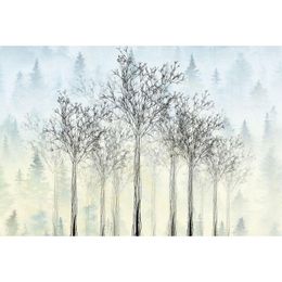 Bricoflor - Nebelwald Fototapete in Hellblau | Baum Tapete illustriert mit Tannenwald in Nebel | Vlies Fototapete mit Wald Motiv in Aquarell Optik