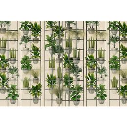 Bricoflor - Regal Tapete in Beige Grün | Pflanzen Fototapete ideal für Küche und Büro | Vlies Fototapete mit Palmen in 3D Optik für Arbeitszimmer