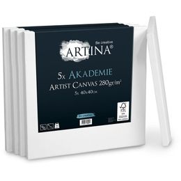 Artina - 5er Set Akademie Keilrahmen Leinwand 40x40x8.75 cm