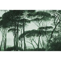 Bricoflor - Fototapete mit Wald in Grün | Antik Tapete mit Bäumen im Gemälde Stil | Vlies Fototapete mit Kunst Motiv ideal für Esszimmer und
