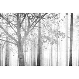 Bricoflor - Wald Fototapete in Schwarz Weiß | Baum Tapete mit Nebel ideal für Schlafzimmer und Esszimmer | Vlies Fototapete mit Bäumen modern - 270 x