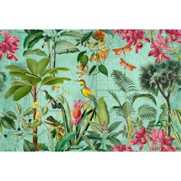 Bunte Fototapete tropical | Vlies Dschungeltapete mit Vogel und Palmenblättern auf Weltkarte | Botanical Tapete mit exotischen Blumen und Libellen