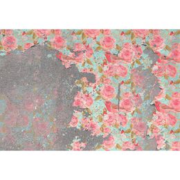 Shabby Chic Tapete in 3D Optik | Vintage Fototapete mit Rosen auf Beton ideal für Schlafzimmer und Küche | Romantische Bildtapete in Grau und Pink