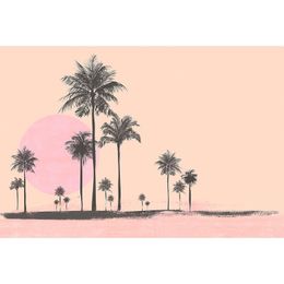 Bricoflor - Miami Fototapete in Rosa | Apricot Tapete mit Kreis Design für Schlafzimmer und Mädchenzimmer | Vlies Fototapete mit Palmen Oase in