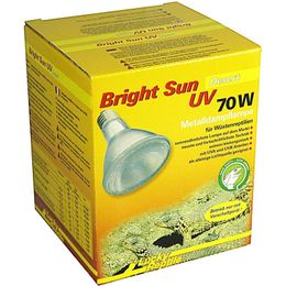 LUCKY REPTILE - Bright Sun uv Desert - 70W