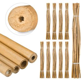 Relaxdays 250 x Bambusstäbe 150cm, aus natürlichem Bambus, Bambusstangen als Rankhilfe oder Deko, Bambusrohre zum Basteln, natur