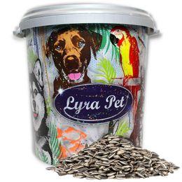 10 kg LYRA PET Sonnenblumenkerne gestreift in 30 l Tonne