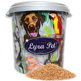 10 kg LYRA PET Hirse weiß gelb lose in 30 l Tonne