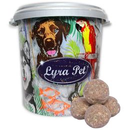 50 Stk. LYRA PET Gourmet Meisenknödel schalenfrei ohne Netz in 30 l Tonne