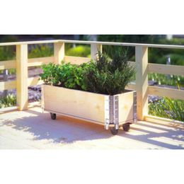 BURI Kräuterbox Holz Rollen Pflanzen Blumen Topf Anzucht Balkon Gemüse Garten Beete