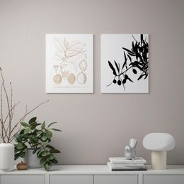 IKEA PJÄTTERYD Bild