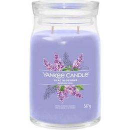 yankee candle Raumdüfte Duftkerzen Lilac Blossoms