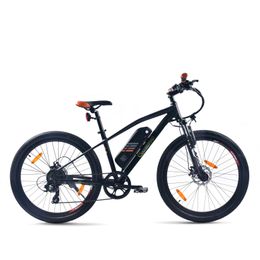 Leicke SachsenRad E-Racing Mountain Bike R6 500Wh 13,4Ah E-Bike 26"