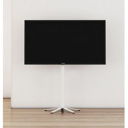 Vcm Design Premium TV Standfuß Rack Fernseh Xila ZW TV-Ständer