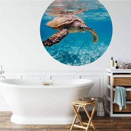 K&L WALL ART Runde Fototapete Schildkröte Tapete Ozean Vliestapete Badezimmer Wandbild ø 188cm - blau