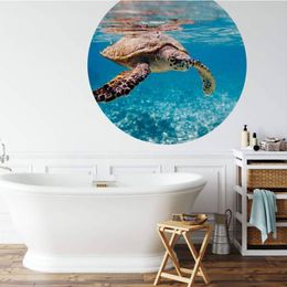 K&L WALL ART Runde Fototapete Schildkröte Tapete Ozean Vliestapete Badezimmer Wandbild ø 140cm - blau