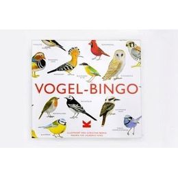 Laurence King Spiel, Vogel Bingo, bunt
