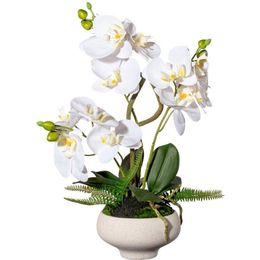Kunstorchidee Orchidee Phalaenopsis im Keramiktopf, Creativ green, Höhe 50 cm, weiß