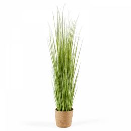 Oviala - Kunstpflanze, Wildgras Miscanthus, Höhe: 185 cm, Oà¯ko Grün - Grün