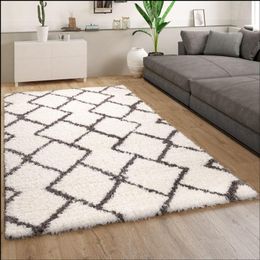 Hochflor Teppich Wohnzimmer Shaggy Langflor Modernes Skandi Muster Grau Creme 160x230 cm - Paco Home