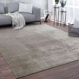 Teppich, Kurzflor-Teppich Für Wohnzimmer, Super Soft, Weich, Waschbar, In Grau 240x340 cm - Paco Home