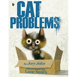 Cat Problems - Jory John, Taschenbuch