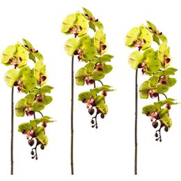 Kunstpflanze Orchidee, Creativ green, Höhe 98 cm, 3er Set, grün