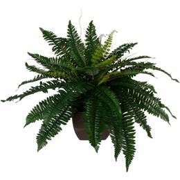Kunstpflanze, Creativ green, Höhe 55 cm, grün
