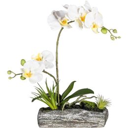 Kunstpflanze Phalaenopsis Orchidee, Creativ green, Höhe 40 cm, weiß