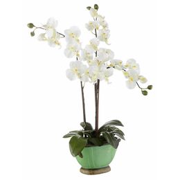 Kunstpflanze Orchidee Phalaenopsis, I.GE.A., Höhe 60 cm, weiß