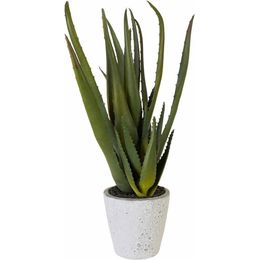 Kunstpflanze Aloe, Creativ green, Höhe 44 cm, grün