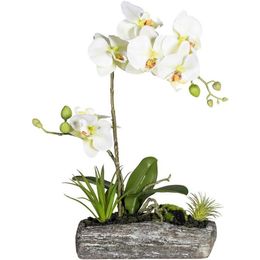 Kunstpflanze Phalaenopsis Orchidee, Creativ green, Höhe 40 cm, grün