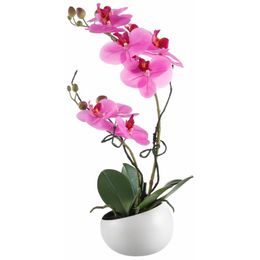 Kunstpflanze Orchidee Orchidee, Creativ green, Höhe 42 cm, lila