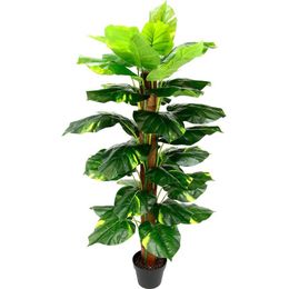 Kunstpflanze Pothospflanze, I.GE.A., Höhe 120 cm, grün