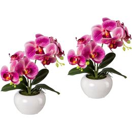 Kunstpflanze Orchidee, Creativ green, Höhe 35 cm, 2er Set, rosa