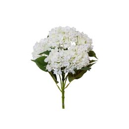 Kunstpflanze, Creativ green, Höhe 63 cm, weiß