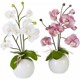 Kunstpflanze Orchidee Orchidee, I.GE.A., Höhe 35 cm, weiß