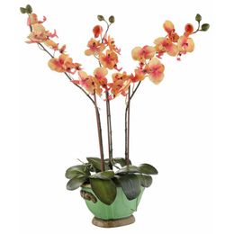 Kunstpflanze Orchidee Phalaenopsis, I.GE.A., Höhe 60 cm, orange