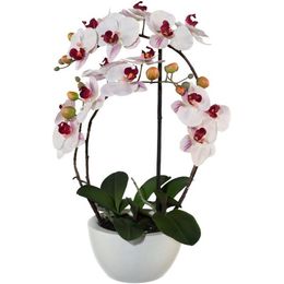 Kunstpflanze Phalaenopsis Orchidee, Creativ green, Höhe 52 cm, rosa