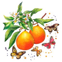 Paper+Design Papierserviette Schmetterlinge & Orangen, (20 St), 33 cm x 33 cm